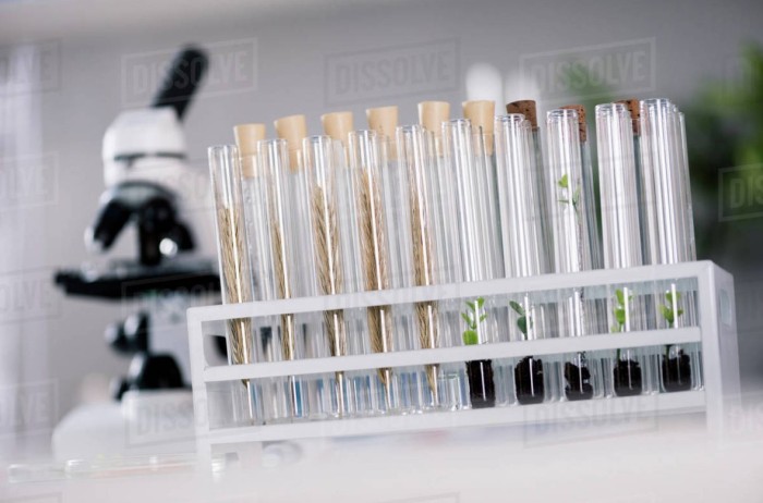 15+ Macam Alat Alat Laboratorium Biologi, Fungsi & Gambar (IPA ...