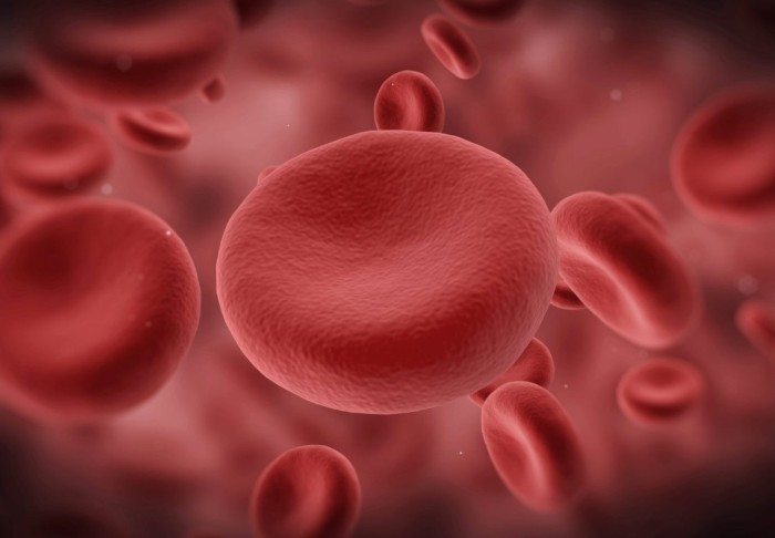 TROMBOSIT Normal : Cara Menaikan, Obat & Makanan Penambah Trombosit ...