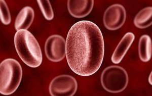 TROMBOSIT Normal : Cara Menaikan, Obat & Makanan Penambah Trombosit ...