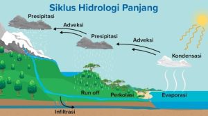 SIKLUS HIDROLOGI : Pengertian, Proses dan Gambar Siklus Air | Salamadian