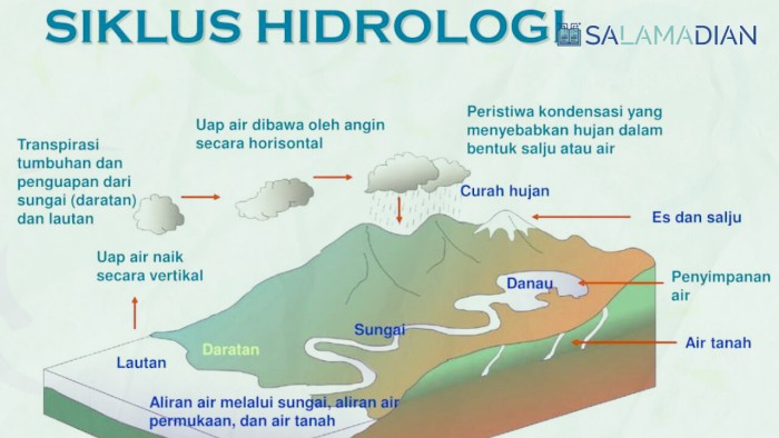 SIKLUS HIDROLOGI : Pengertian, Proses dan Gambar Siklus Air | Salamadian