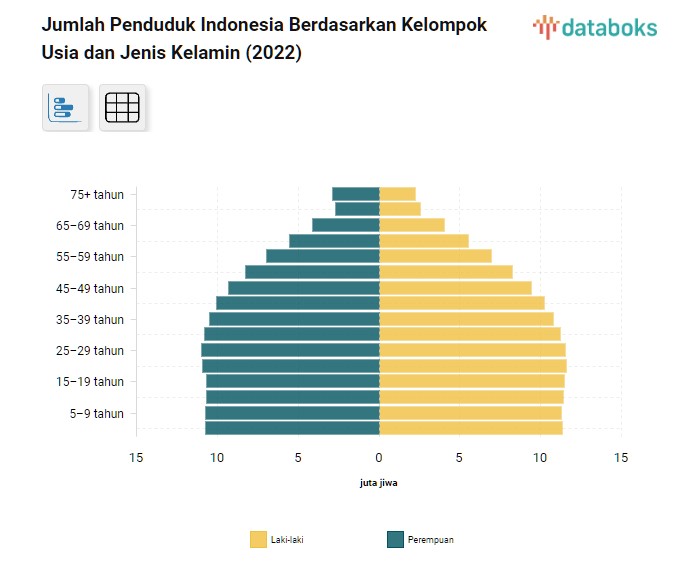 PIRAMIDA PENDUDUK INDONESIA : Pengertian, Fungsi, Jenis dan Gambarnya ...
